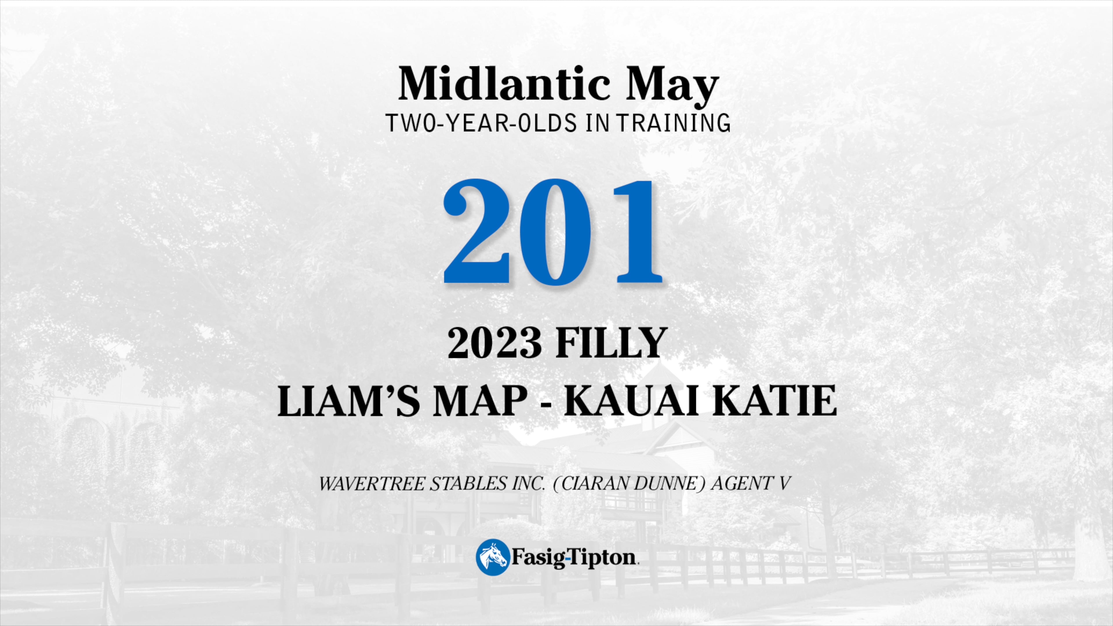 FTMMAY25, Hip 201, f. LIAM'S MAP - KAUAI KATIE 23