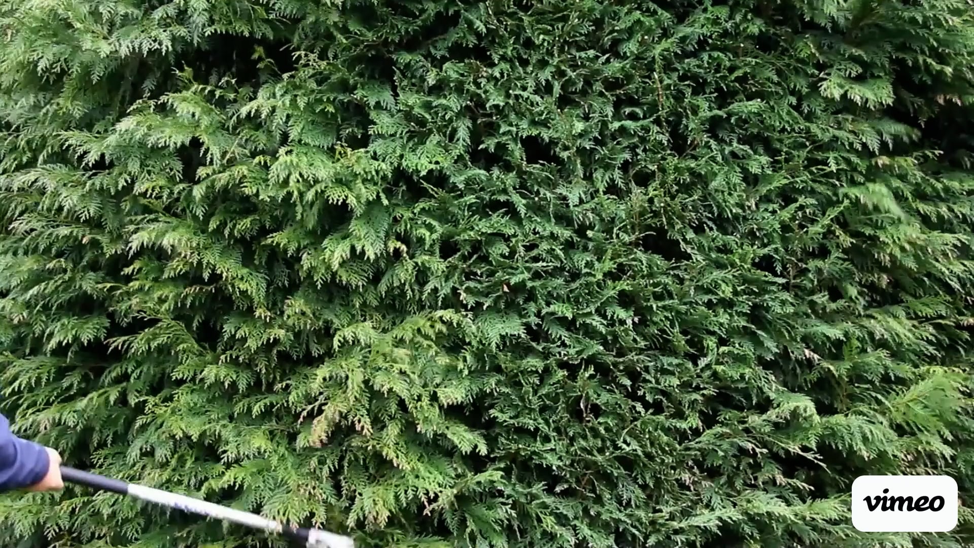 Tex Vet Trees & Milling