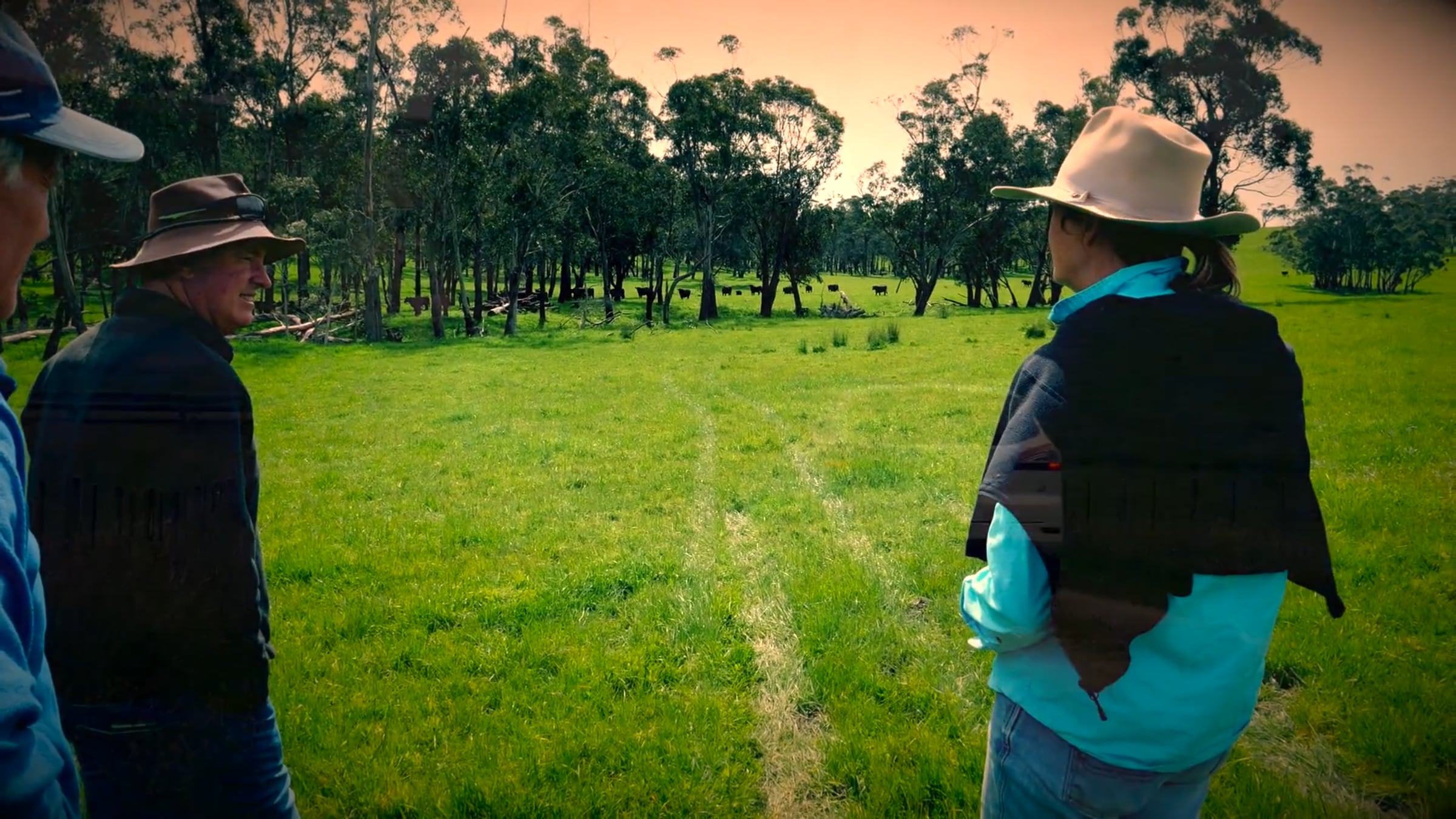 BCLN Restoring Landscape Function 2025