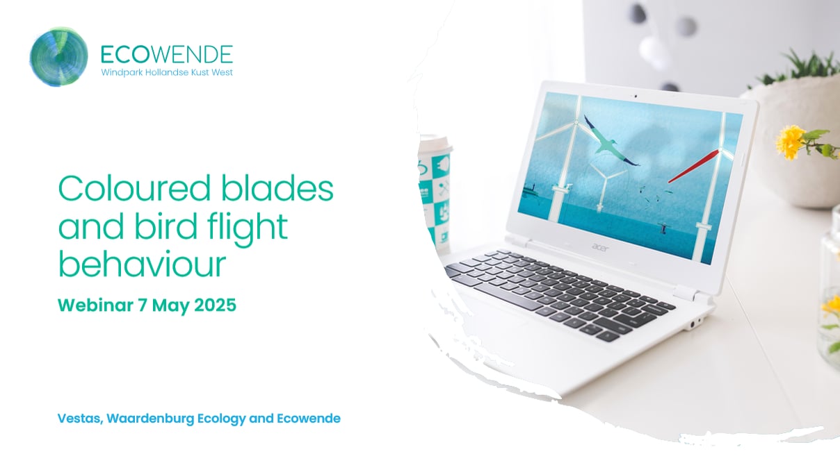Ecowende webinar | Second edition 7 May 2025
