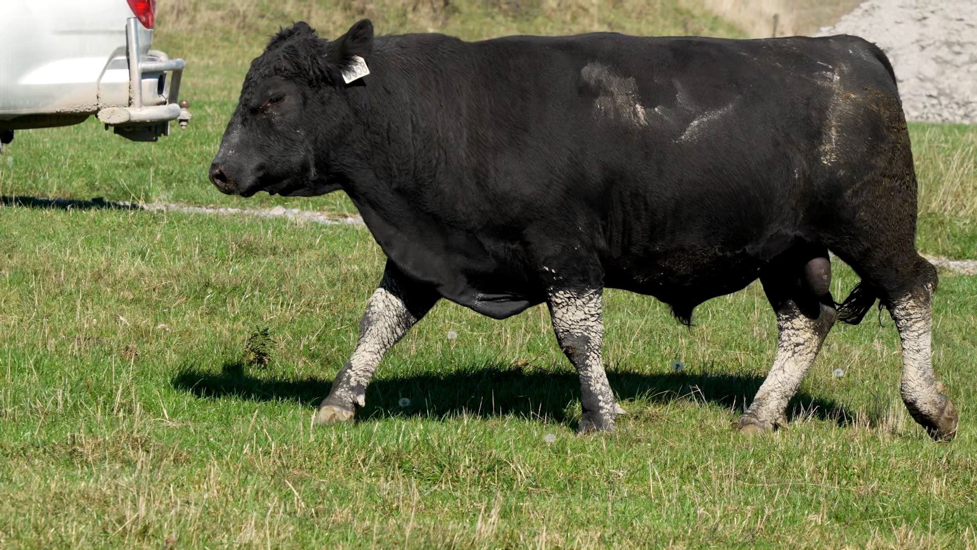 Lot 18 Okaka Laser U358