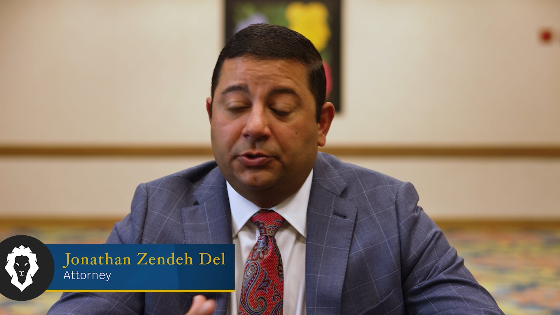 Zendeh Del - DWI CDL Brand - Desktop