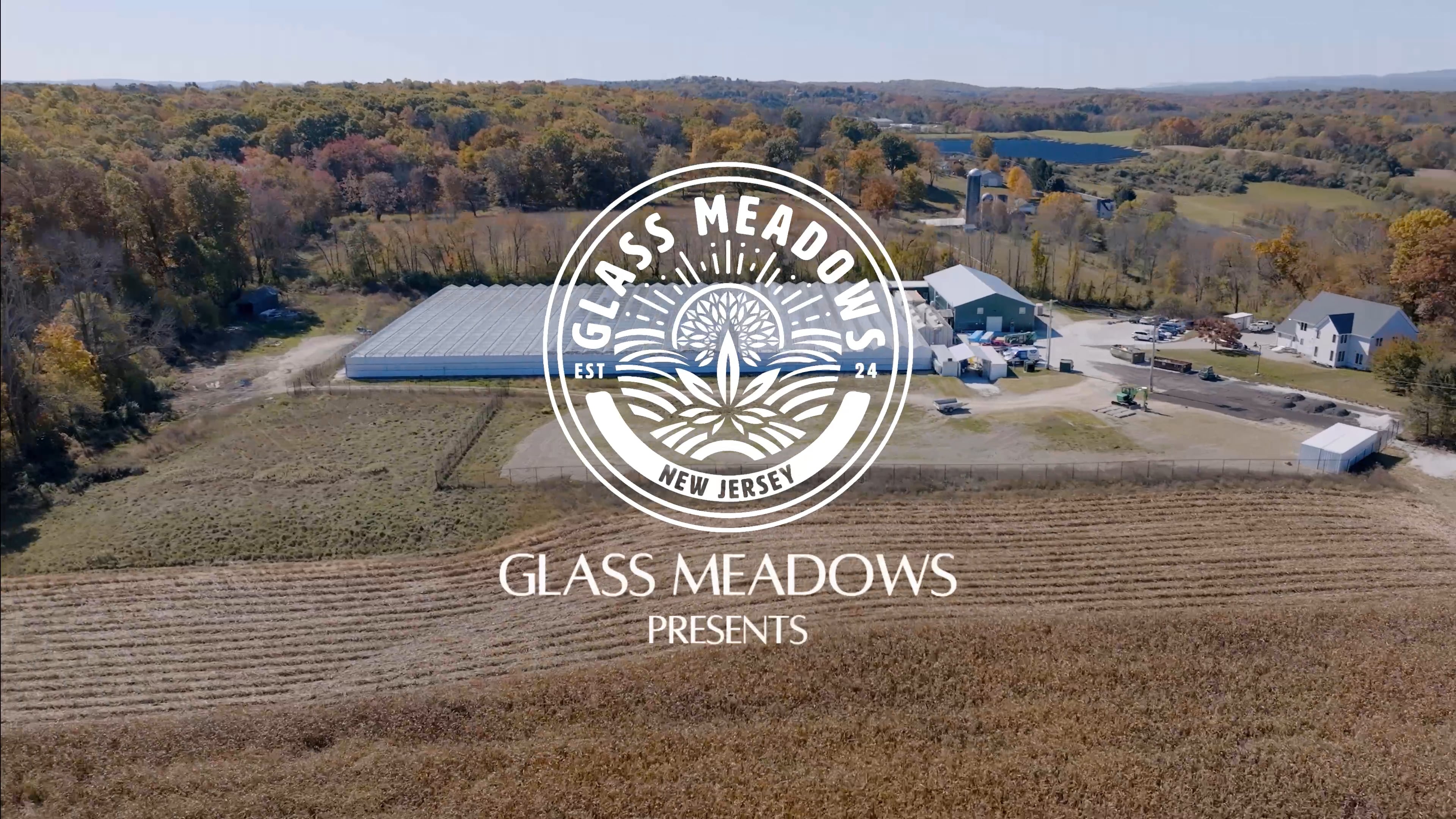 Glass Meadows (Logo Intro - Black Beatles)