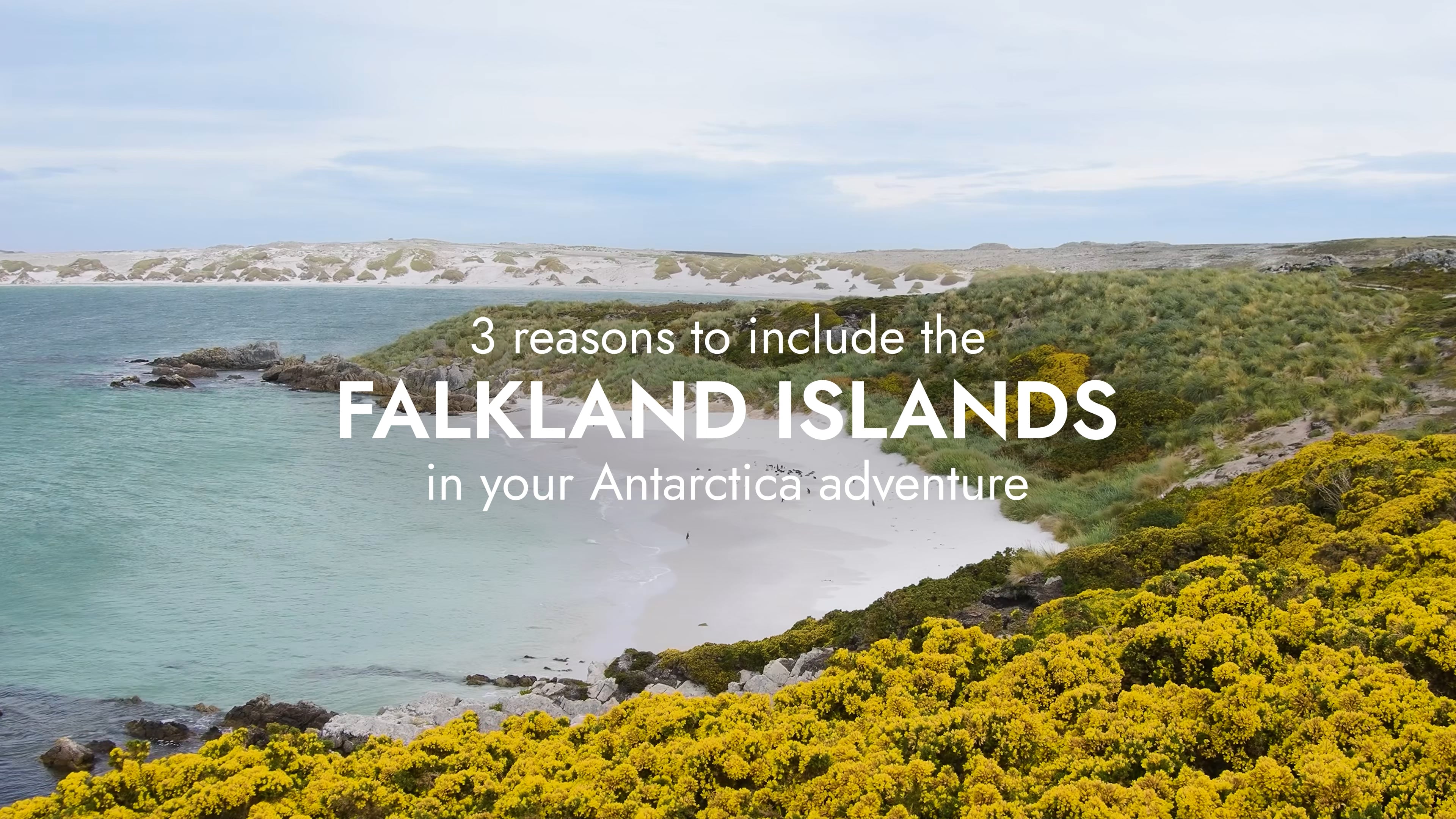 3 reasons to visit the Falkland Islands
