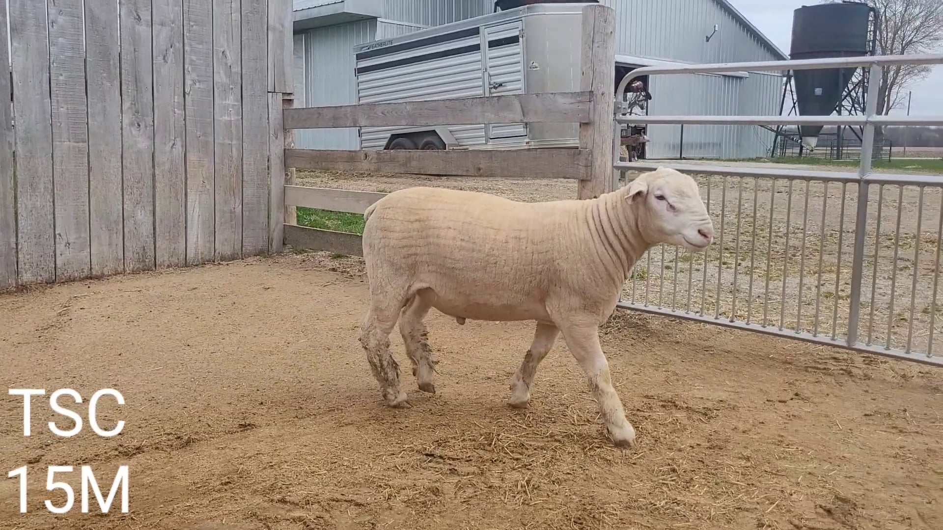 1 - TSC 15M - 20250503_125307 Keith Todd