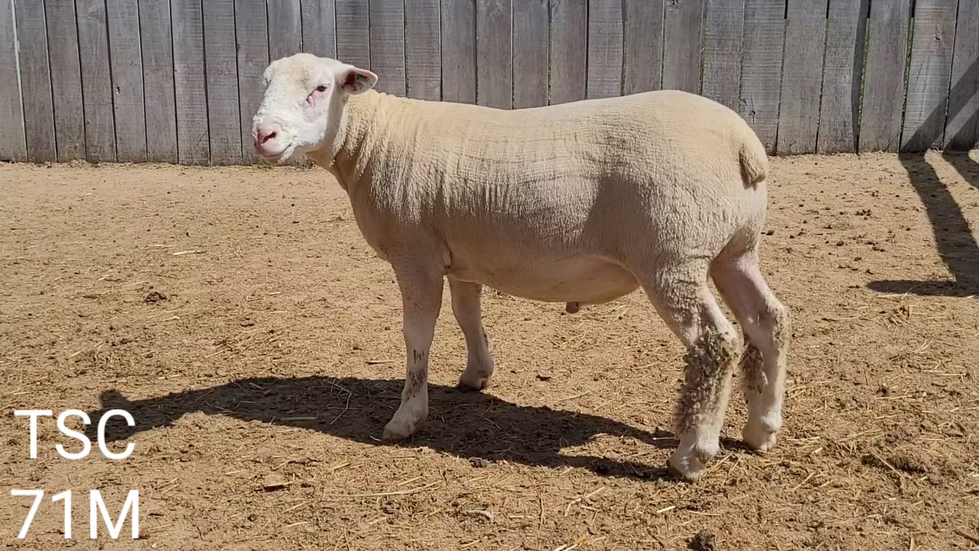 11 - TSC 71M - 20250504_113444 Keith Todd