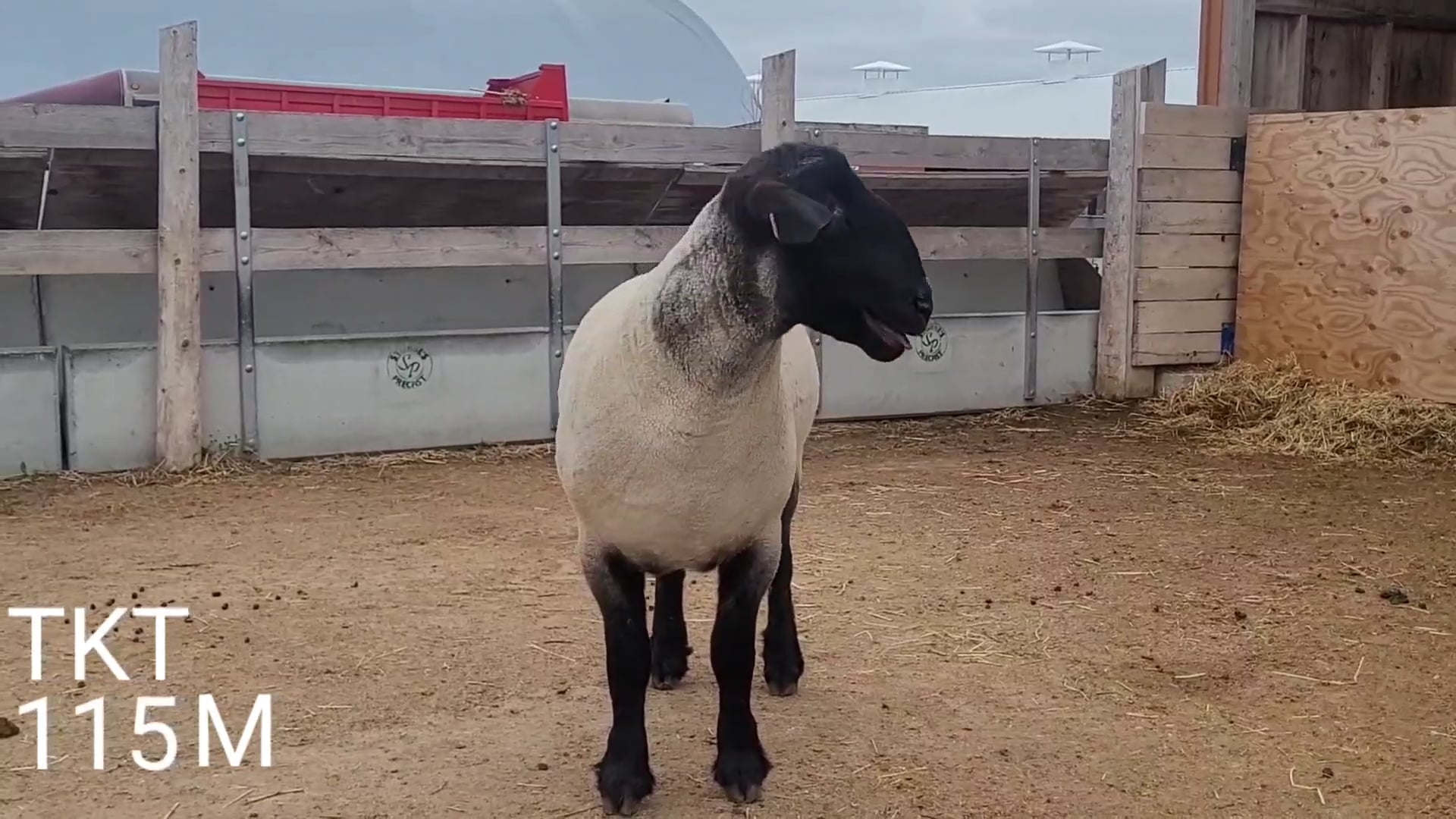 31 - TKT 115M - 20250503_120051 Keith Todd