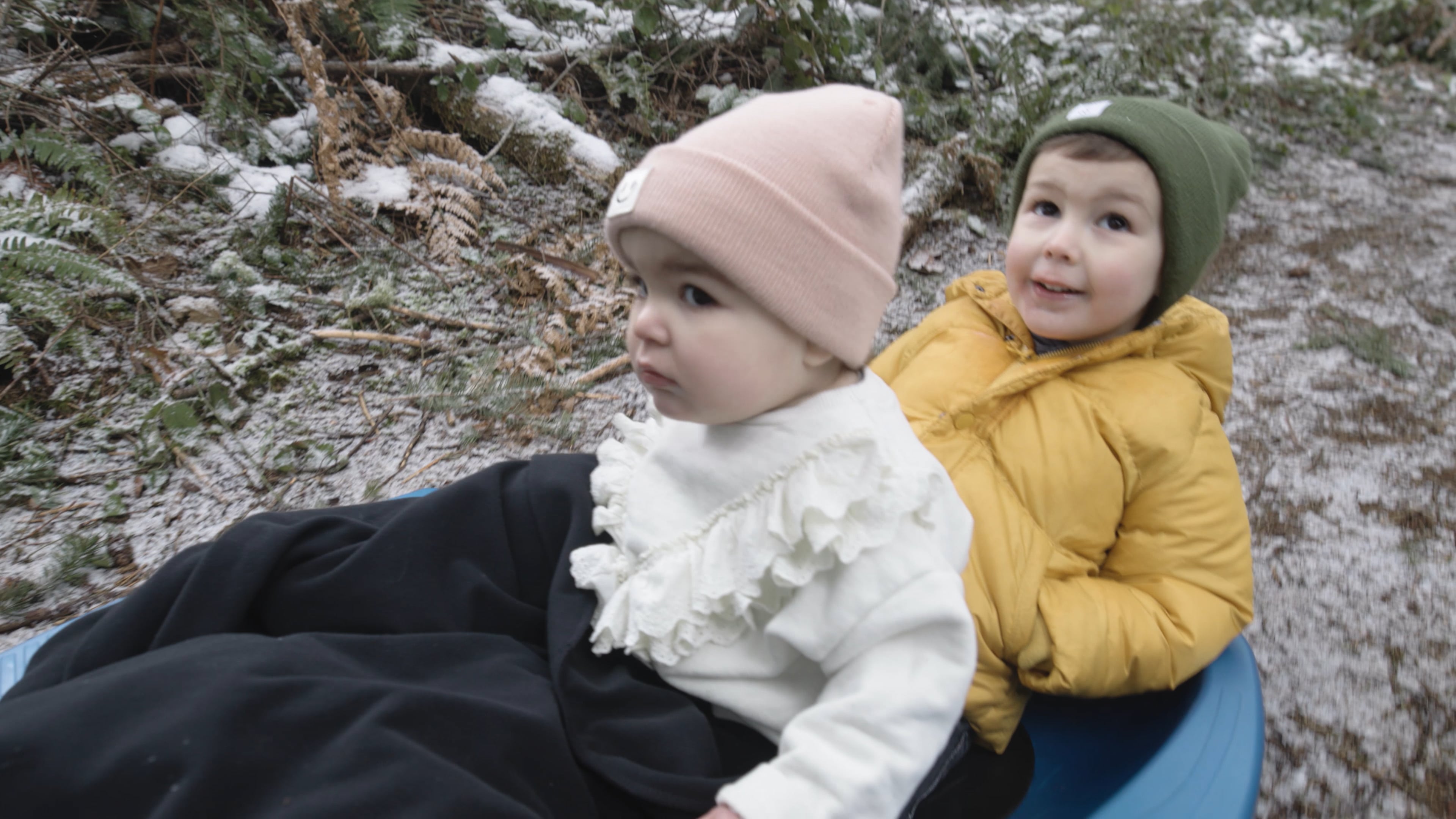 Bandage Ball 2025: We Grow Together