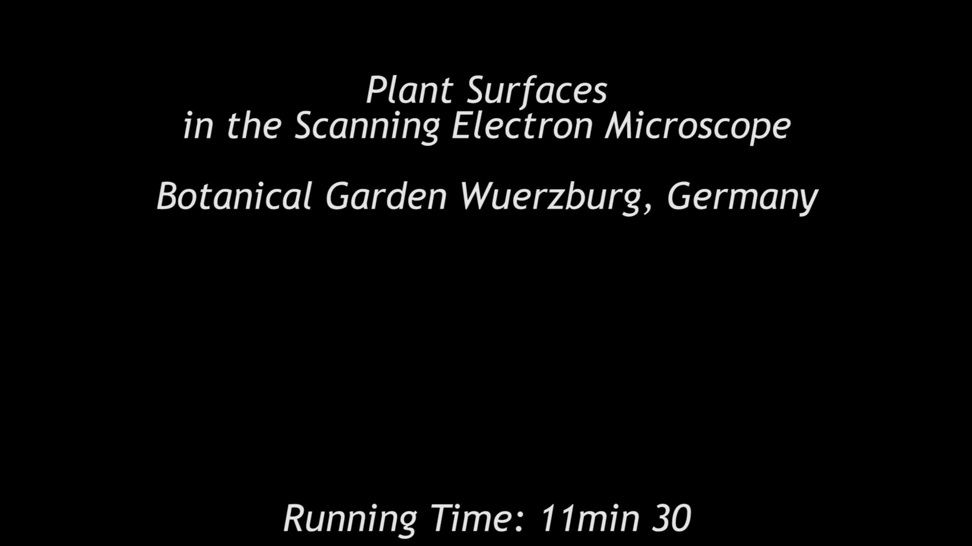 Plant Surfaces in the Scanning Electron Microscope
