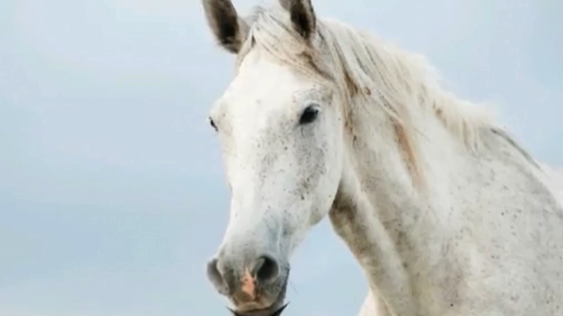 Thunder Video 2025 5-9 II