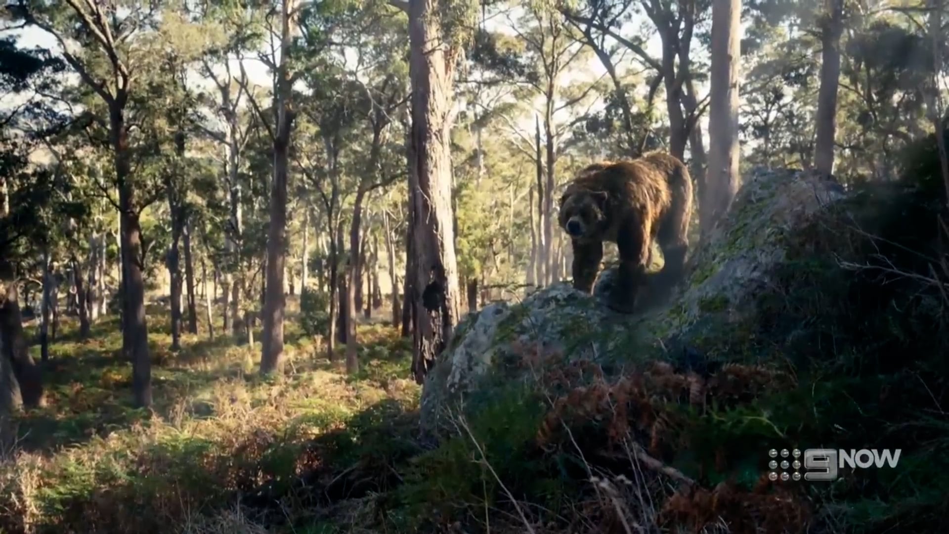Labrea Season 1 - Bear Rigging Showreel