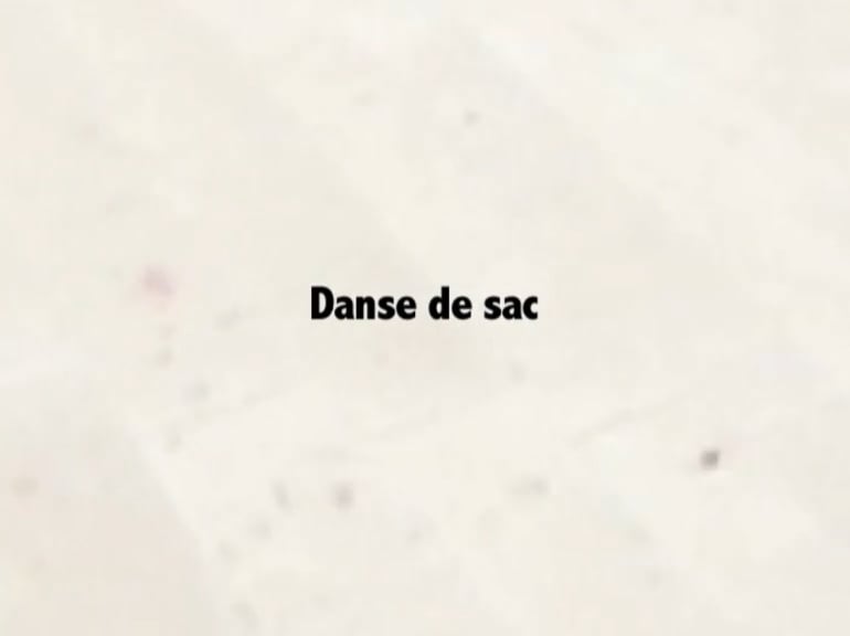 danse_de_sac___garbage_bag_dance_2012 (540p)