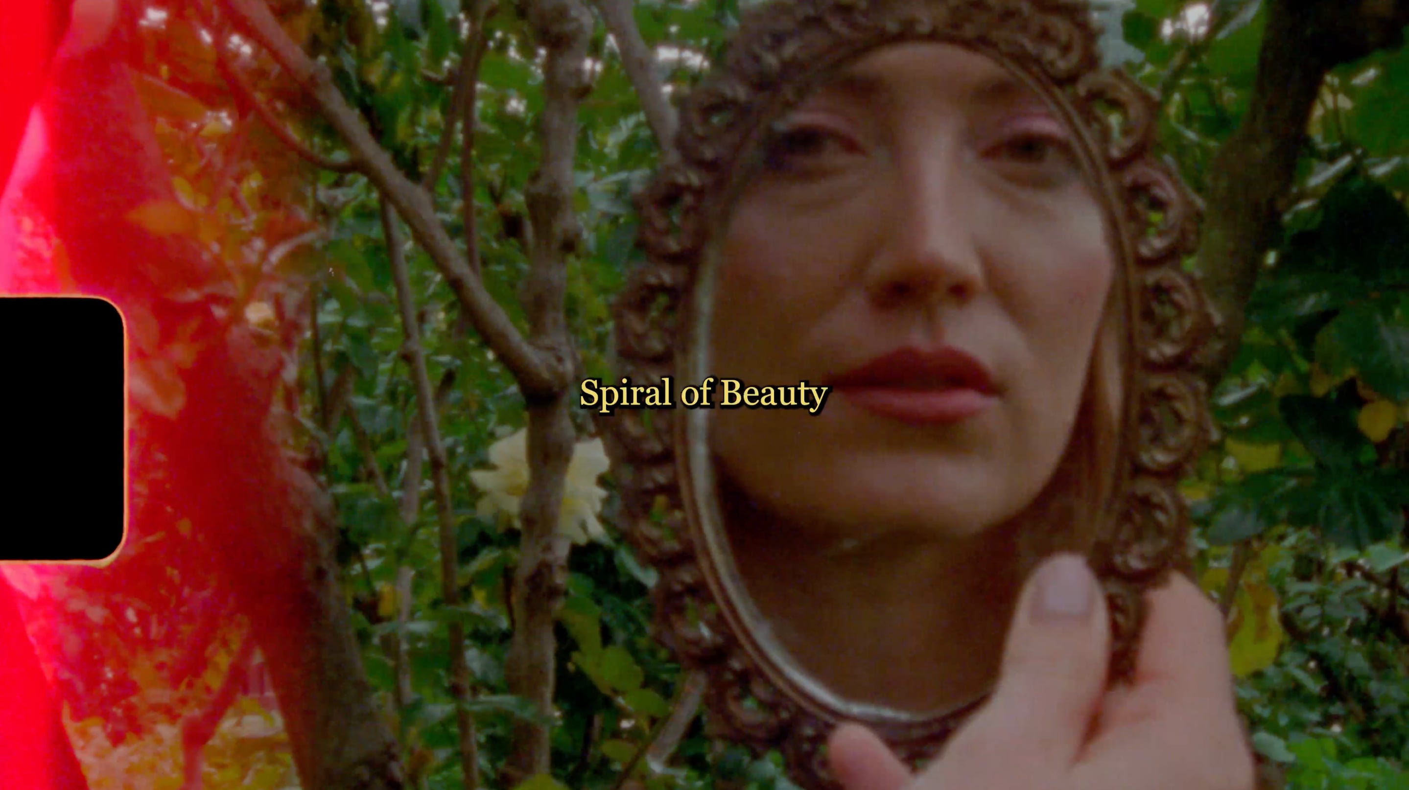 SPIRAL OF BEAUTY - CORNELIA MURR