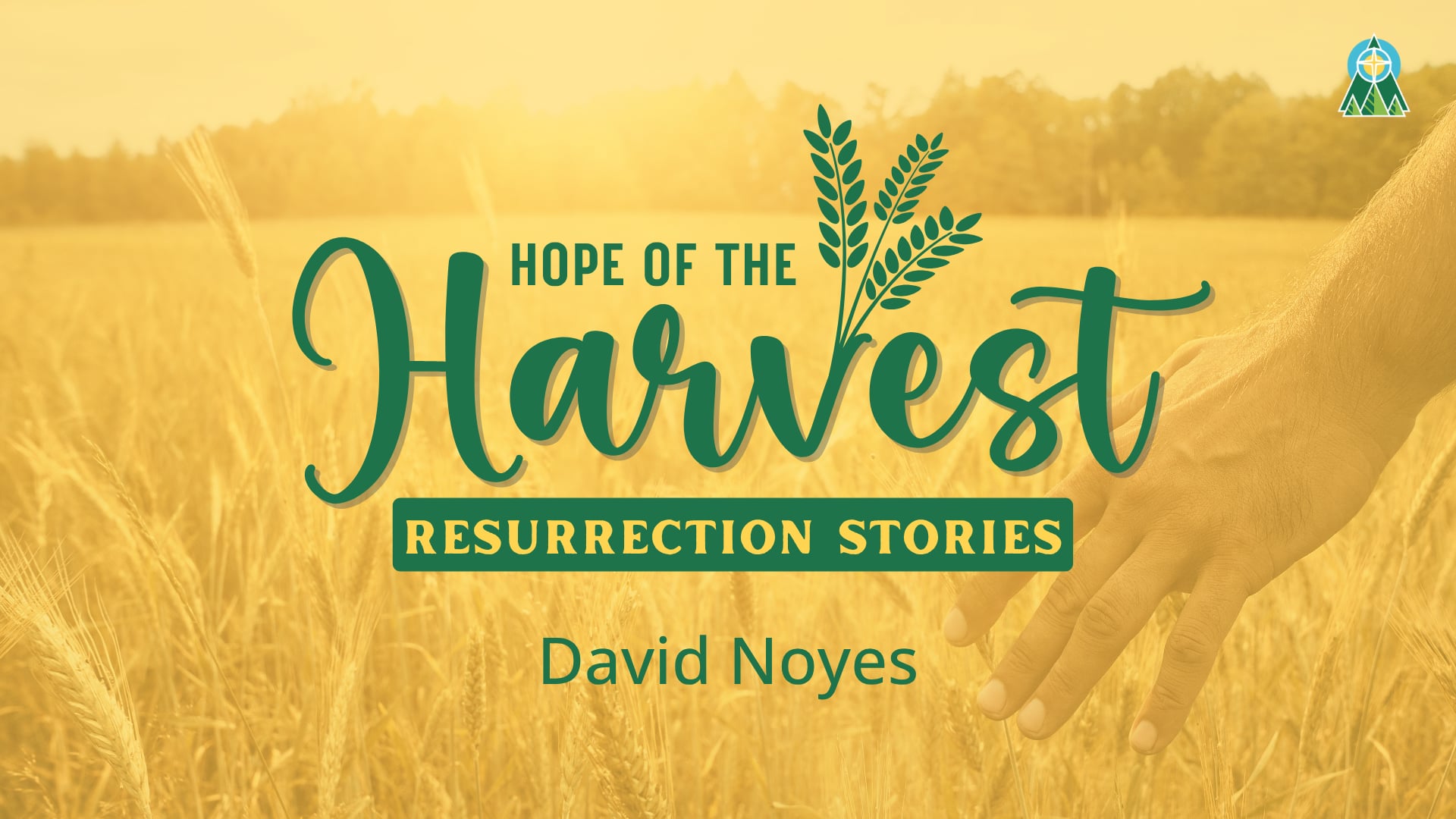 Resurrection Story - David Noyes