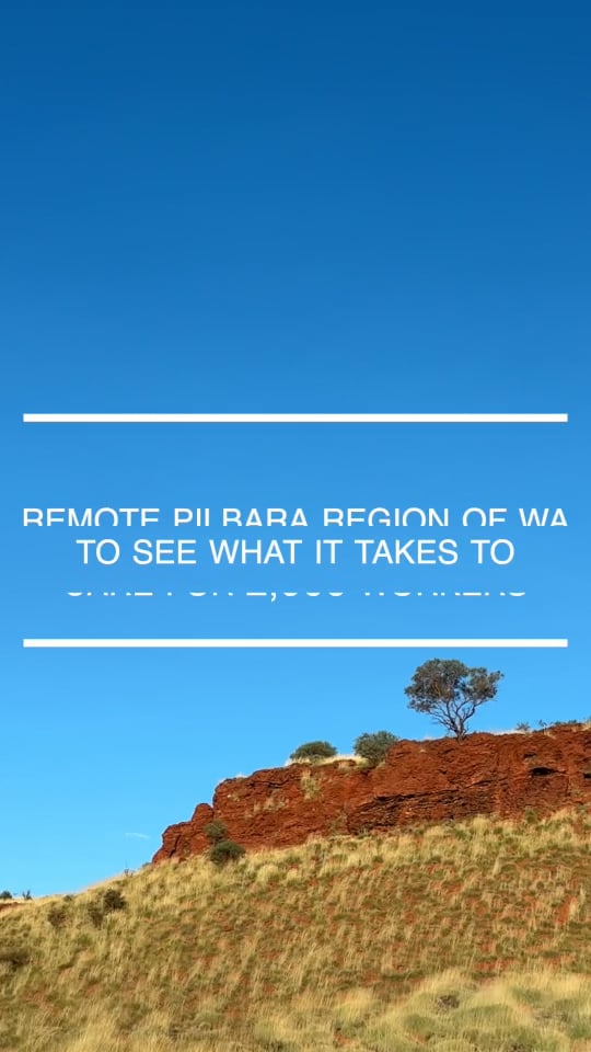 FEEDING FIFO - Teaser 1