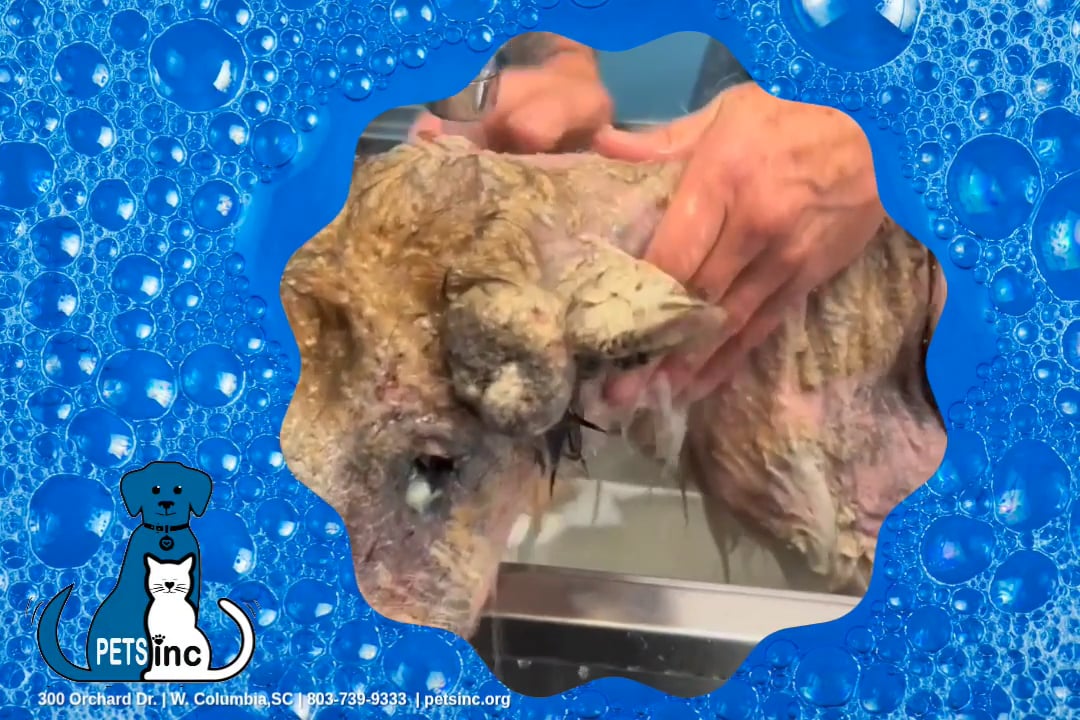 Soldier Gets First Bath