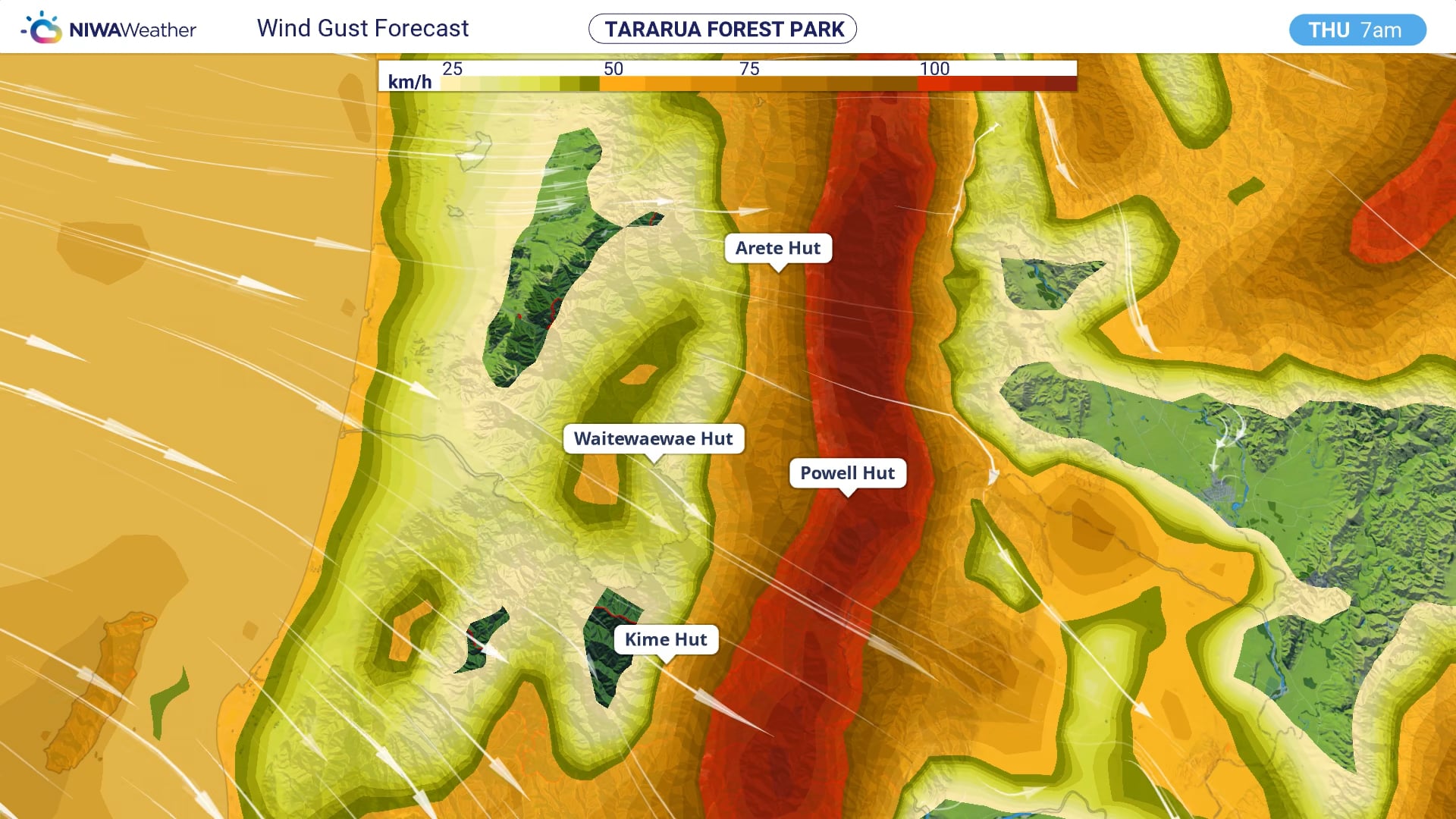 Tararua Forest Park Weather Outlook
