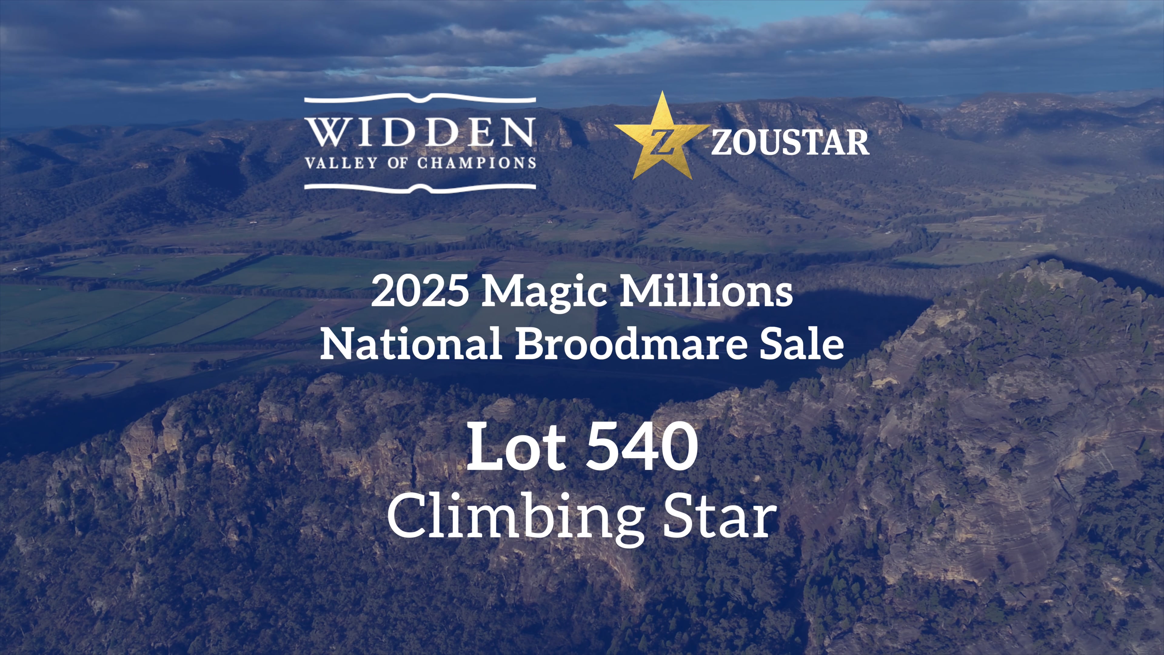 Lot 540 - Climbing Star