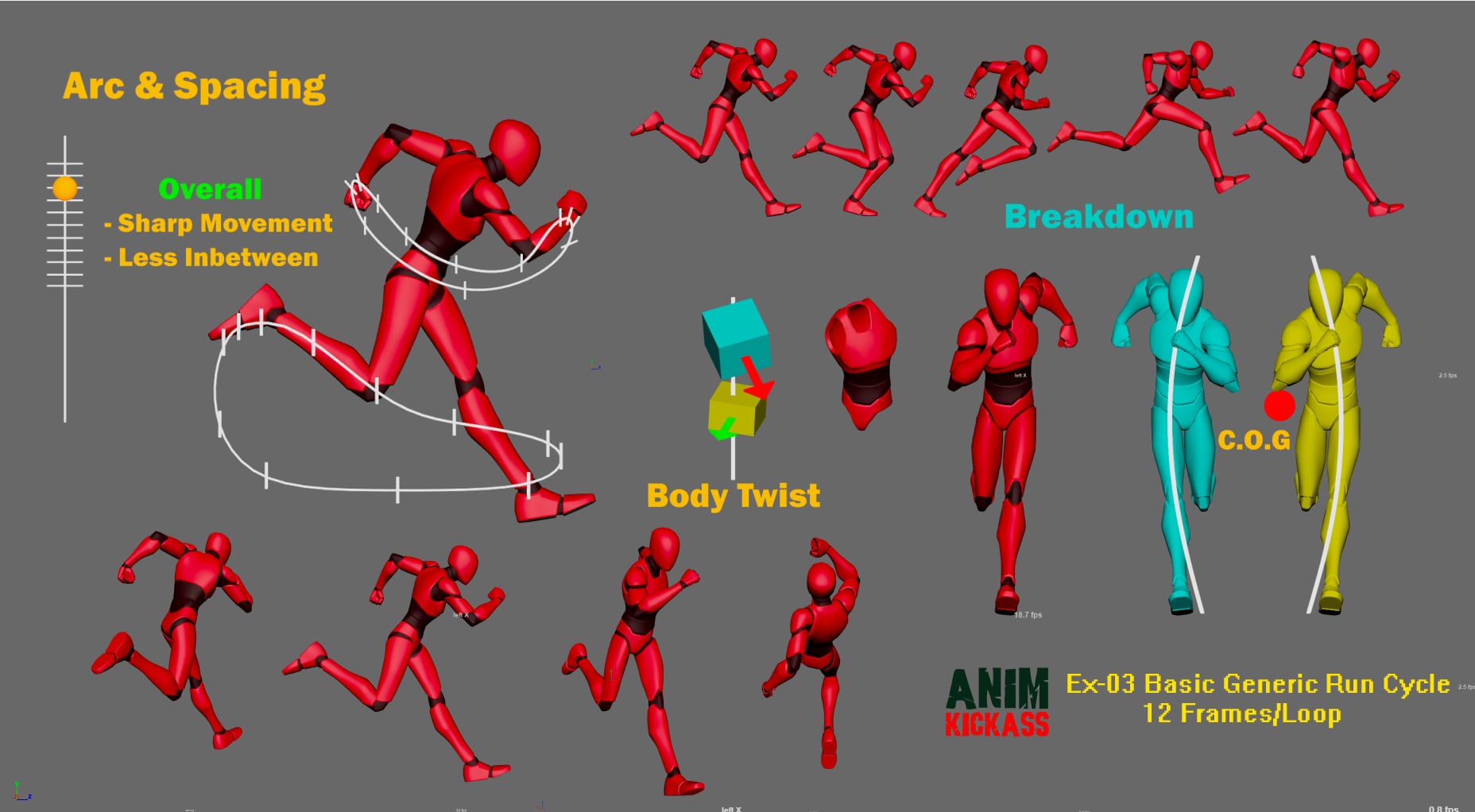 Basic Generic Run Cycle