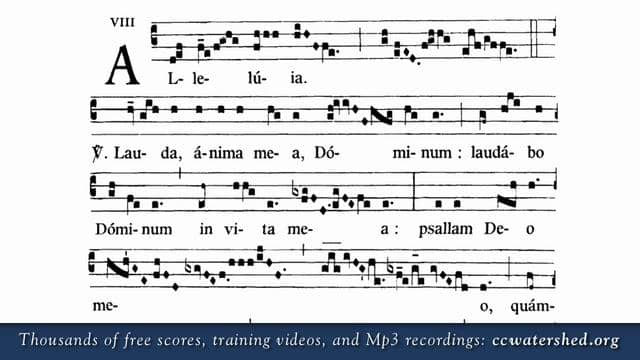 ALLELUIA • Lauda Anima Mea Dominum on Vimeo