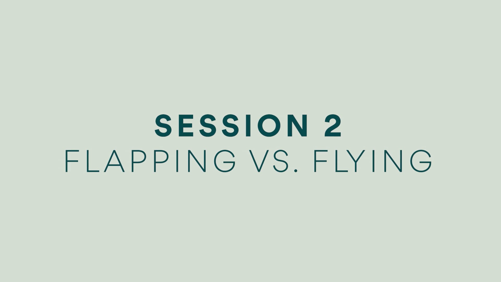 Session Two | Flapping vs. Flying