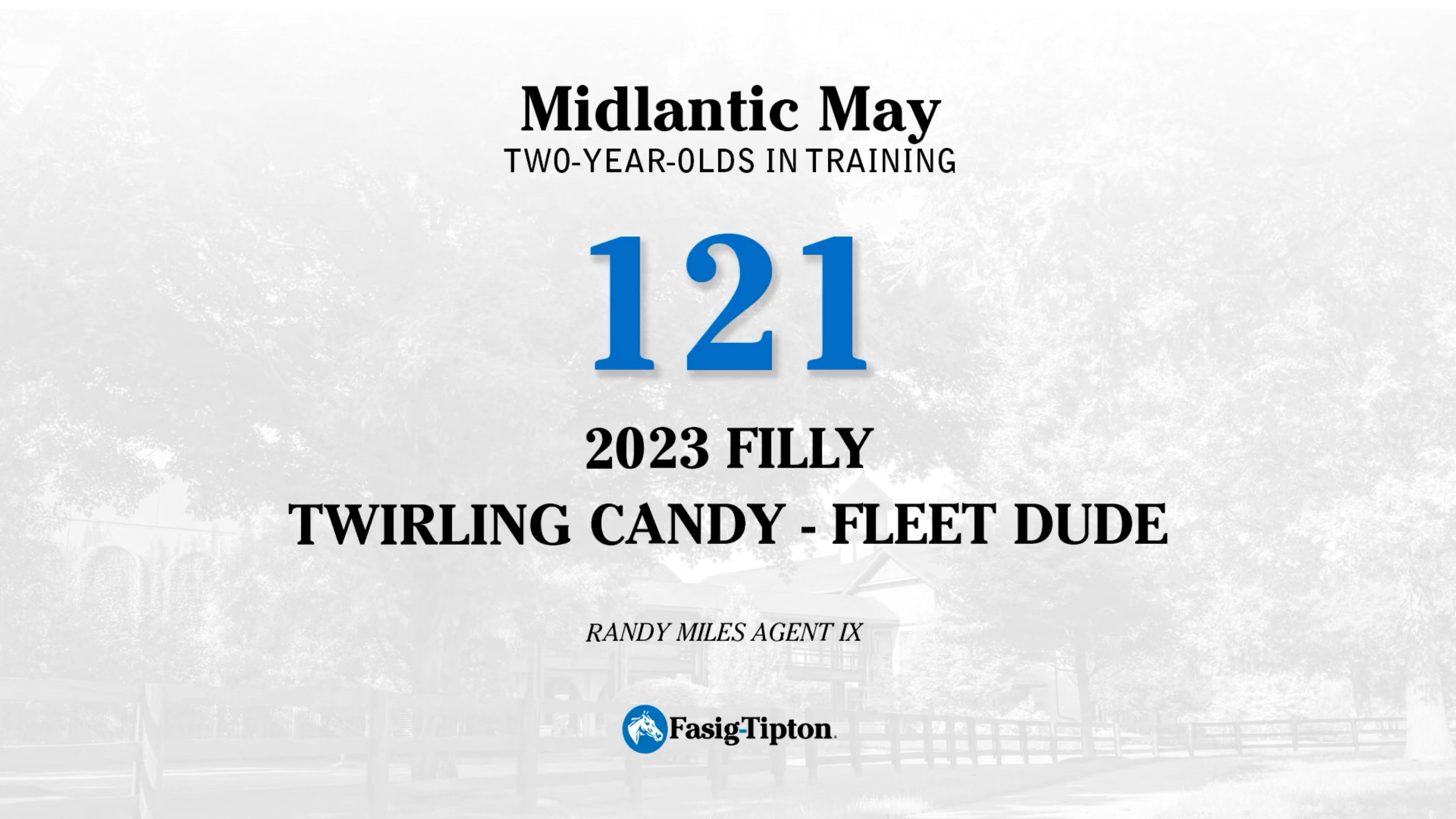 FTMD25 Hip 121, f. Twirling Candy-Fleet Dude