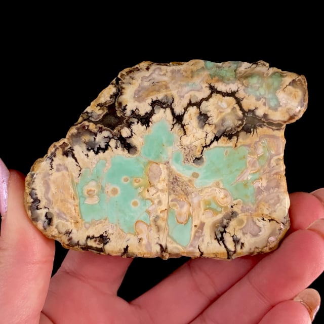 Variscite (classic material) (polished) | Little Green Monster ...