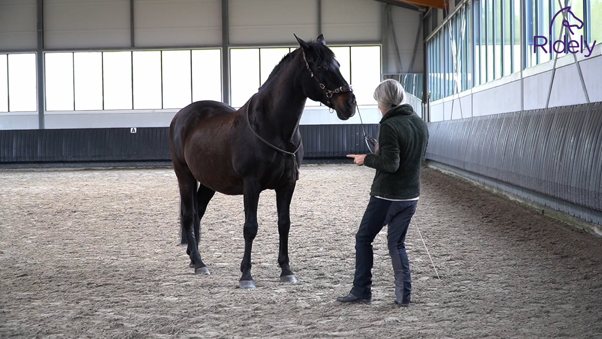 Why Groundwork Matters: Tools, Benefits & Your Two Key Positions | Ridely