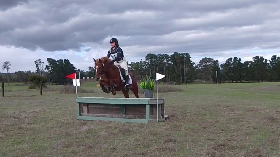 Eliza Poll riding Felix 114 Grade 4 PCV State Championships Rosedale ...