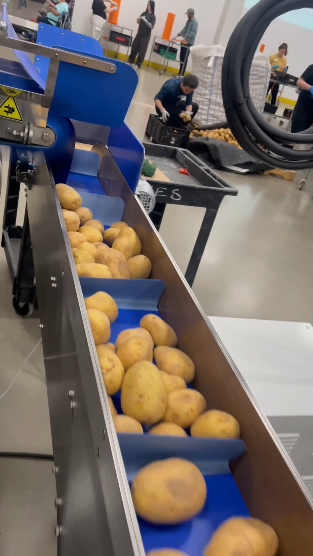 Automated Machine for Netted Bags Packing Potatoes and Cucumbers ...