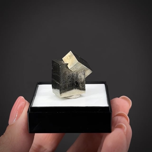 Pyrite - SYP25-22a - Navajún - Spain Mineral Specimen