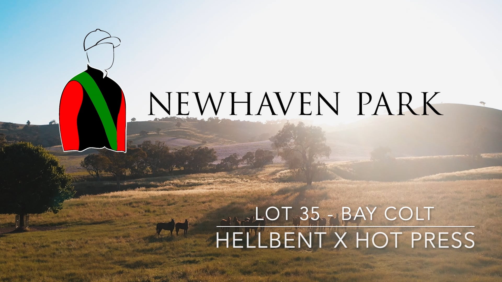 Hellbent x Hot Press