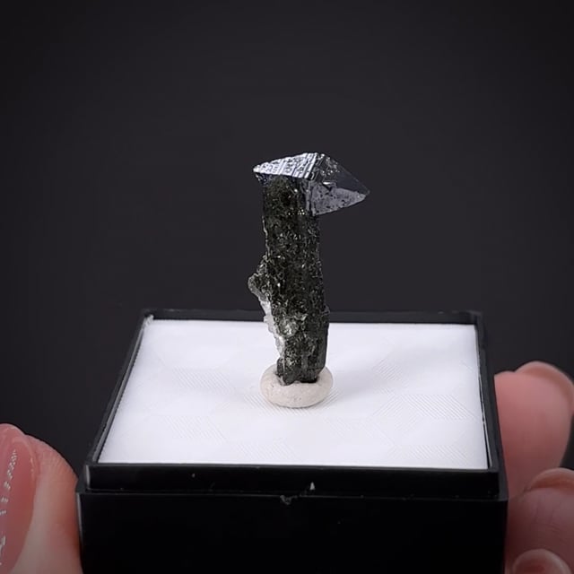 Anatase on Smoky Quartz - SYP25-08c - Dodo Mine - Russia Mineral Specimen