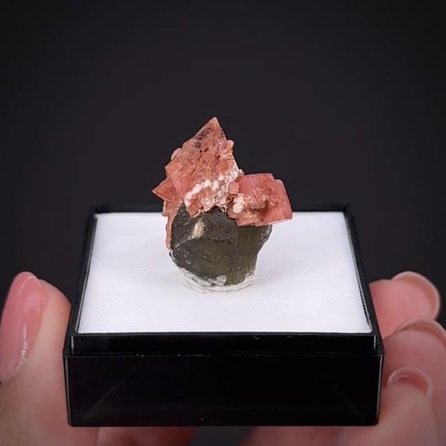 Rhodochrosite on Sphalerite - SYP25-06a - Poudrette Quarry - Canada ...