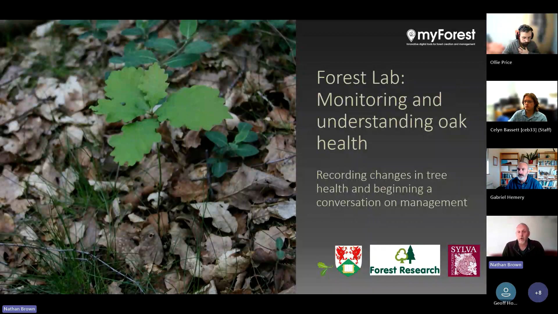 Introduction to the Oak Health Project on Forest Lab | Videos & Movies ...