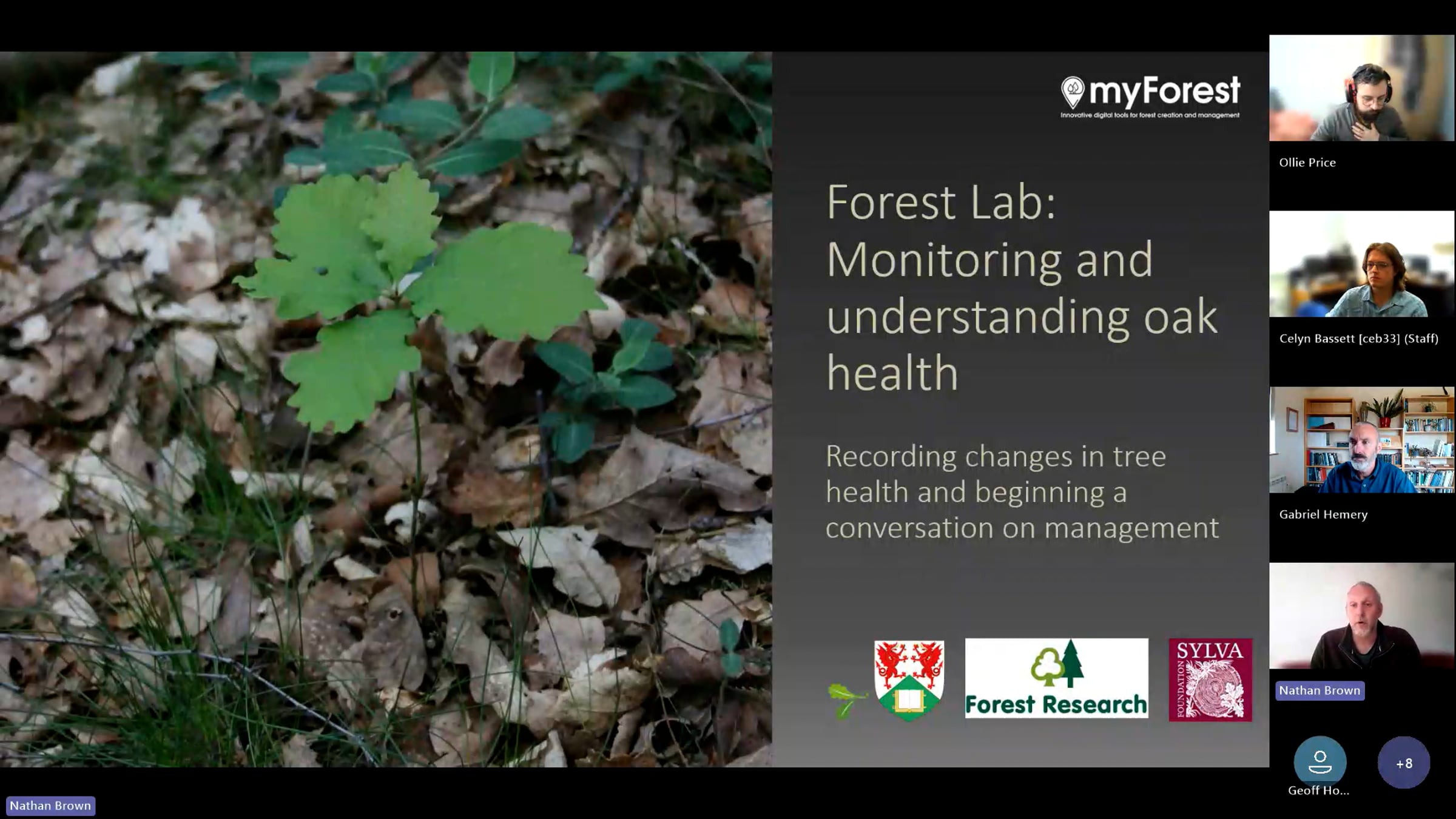 Introduction to the Oak Health Project on Forest Lab