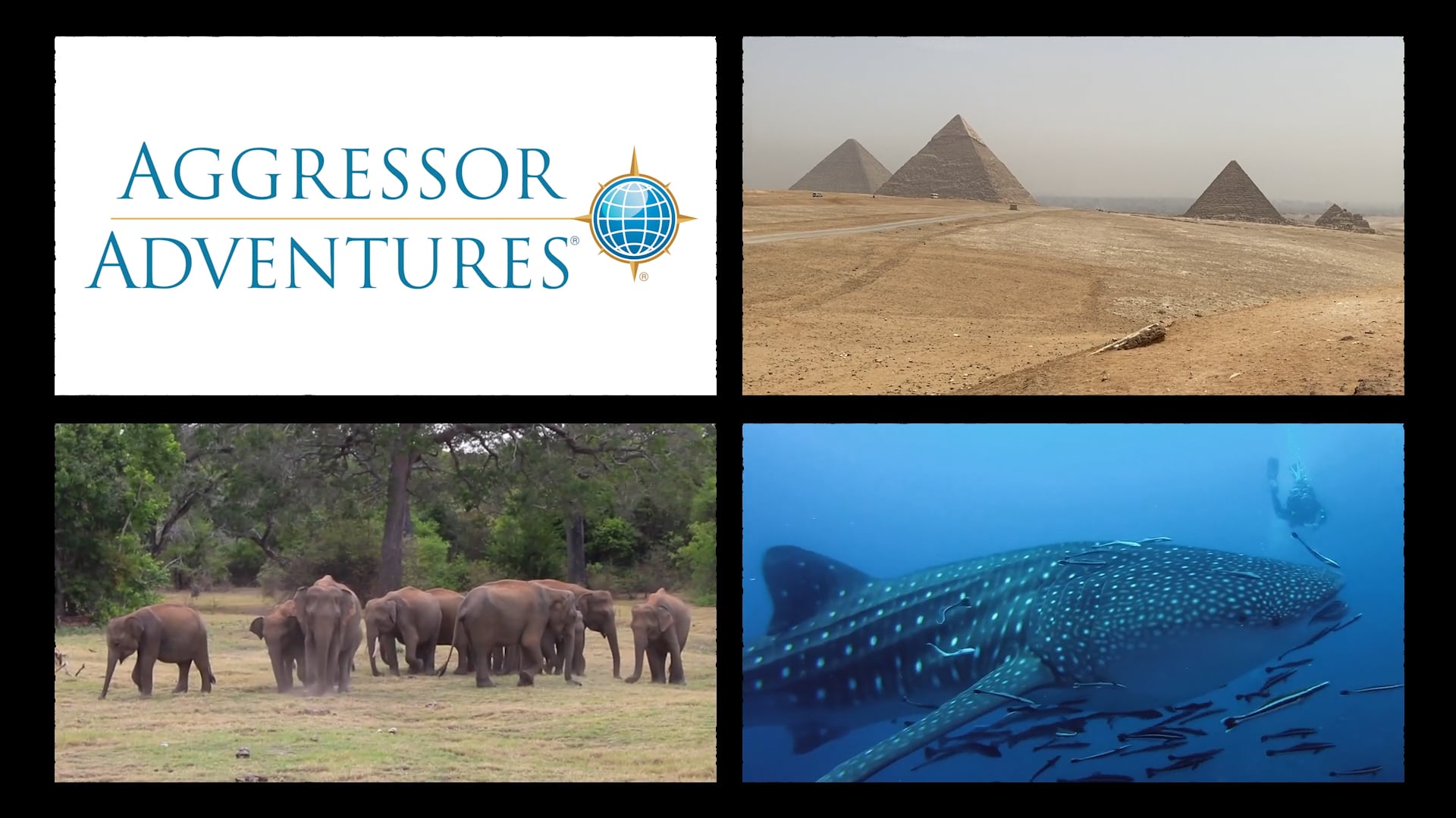 Aggressor Adventures Ad | 30 Sec TV AD