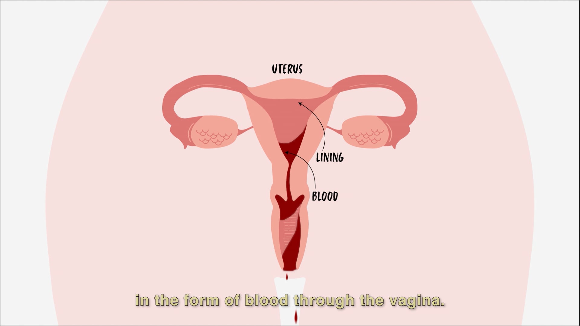 Period Science For Moms_P&G Whisper_Leo India