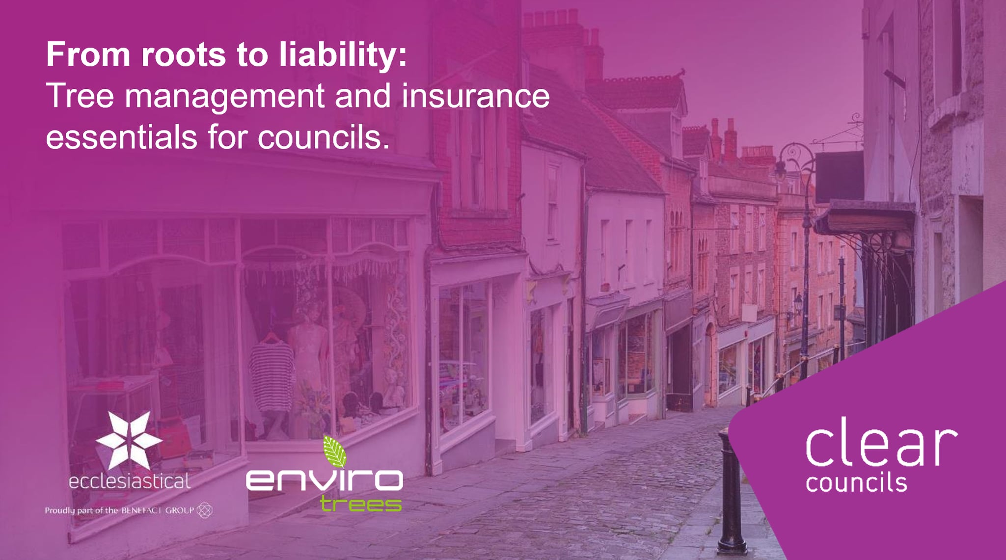 From Roots to Liability: tree risk management and insurance essentials ...