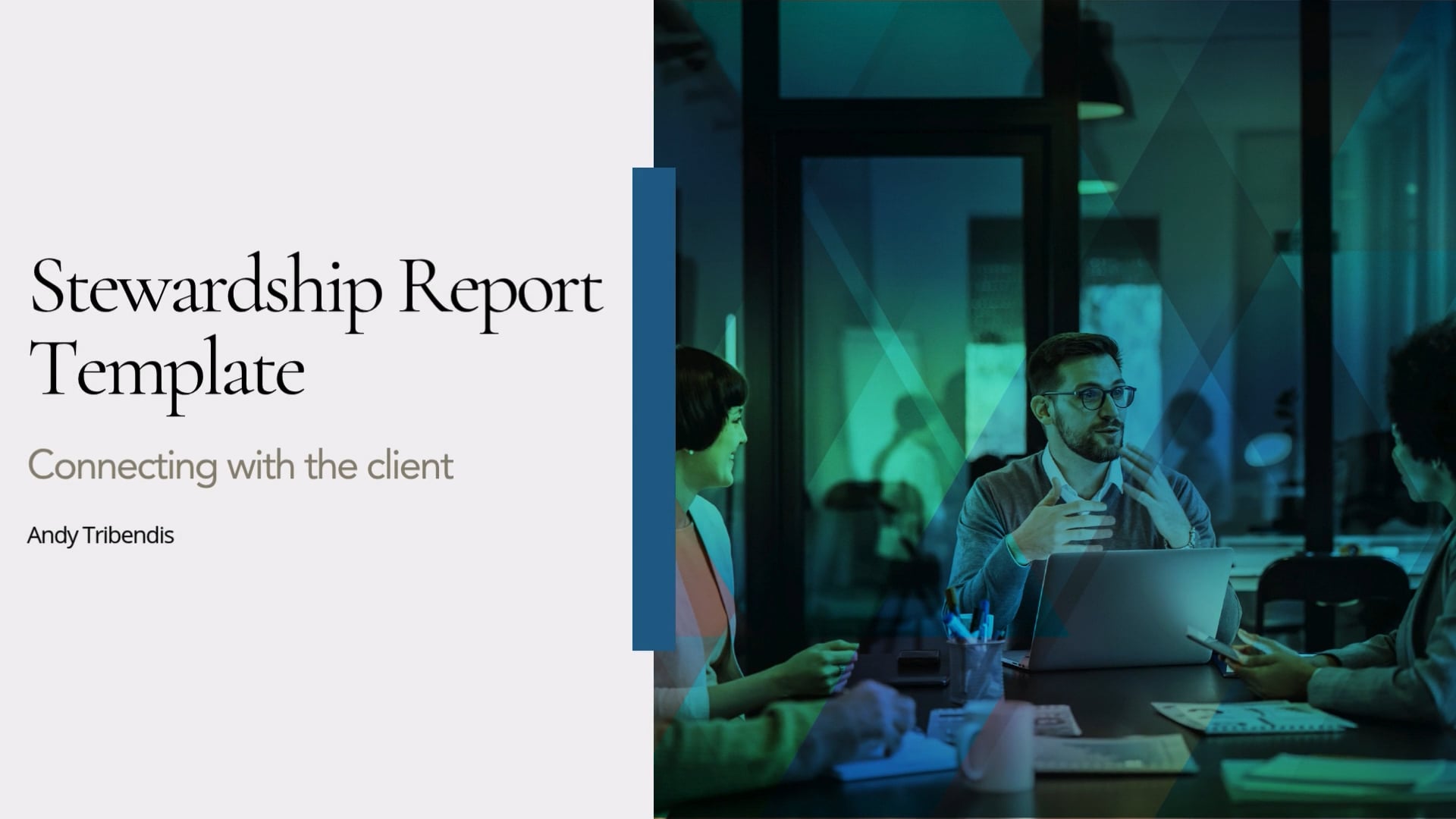 Stewardship Report Template