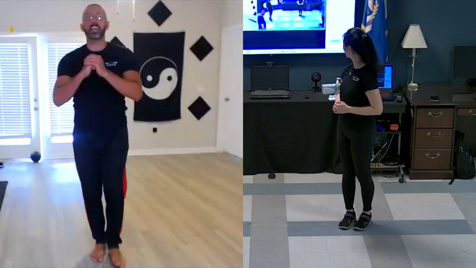 Watch Celestial Dragon Short Form: Review & Applications Online | Vimeo On Demand on Vimeo