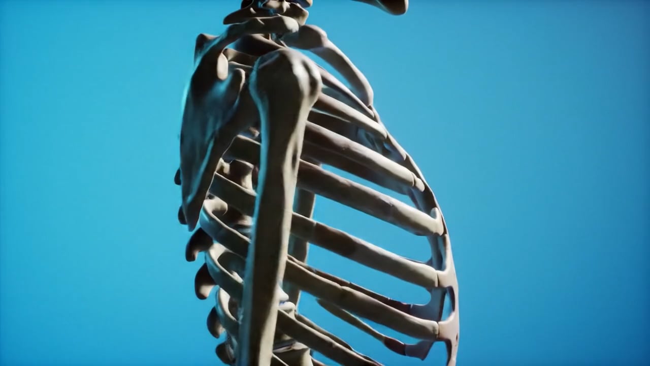 Pectus Carinatum & Excavatum Treatment | Bracing & Vacuum Bell | Pectus ...