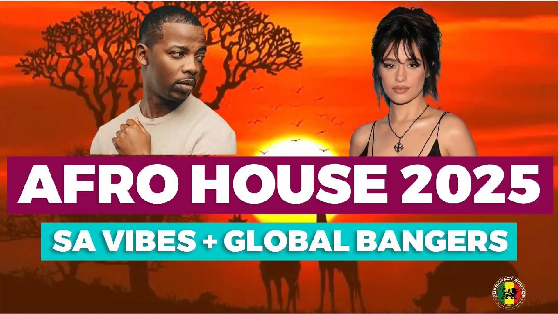 AFRO HOUSE MIX 2025 Out In The Streets, Adam Port, HUGEL | SA Vibes ...