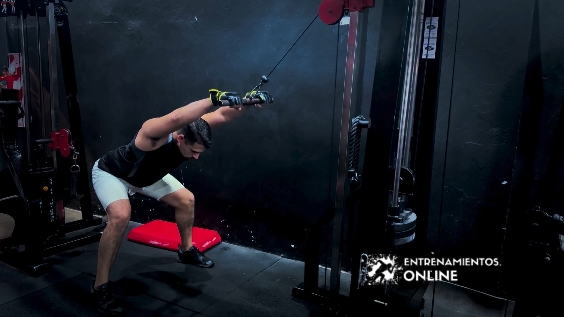 337. Pullover en Polea