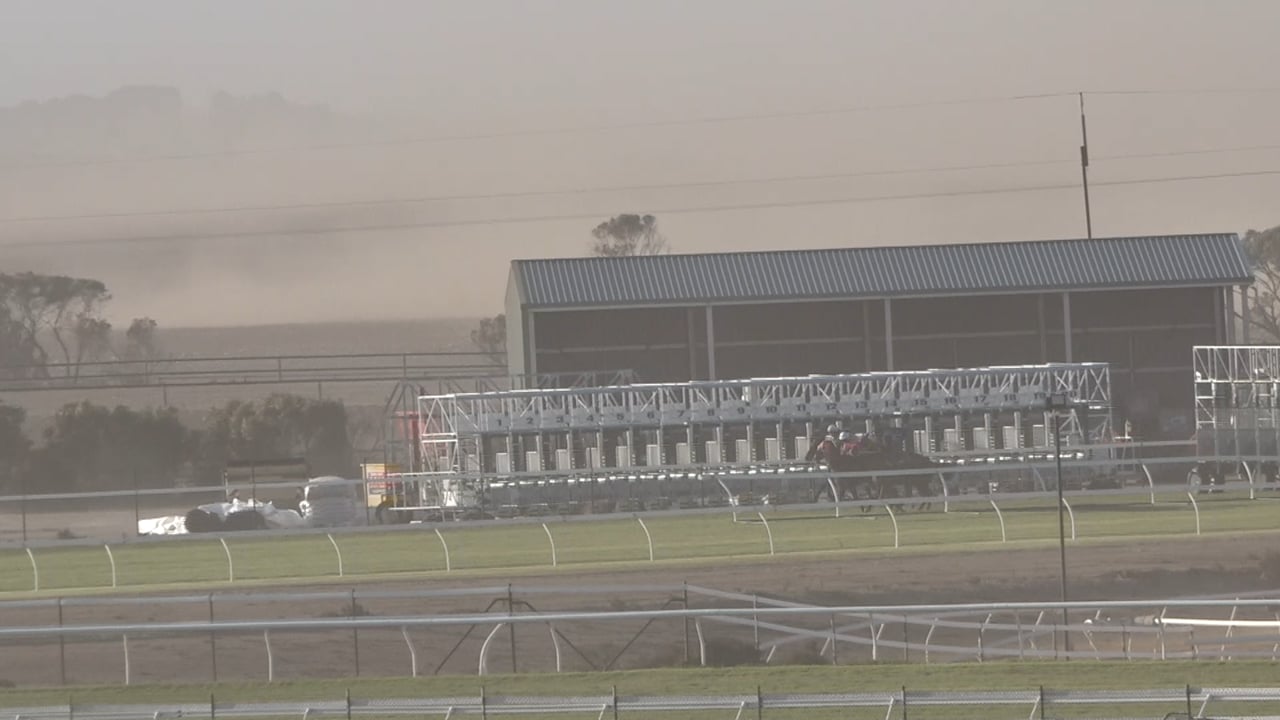 25/05/2025 Murray Bridge • Racing SA