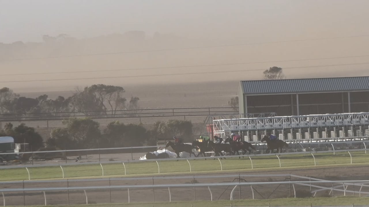 25/05/2025 Murray Bridge • Racing SA