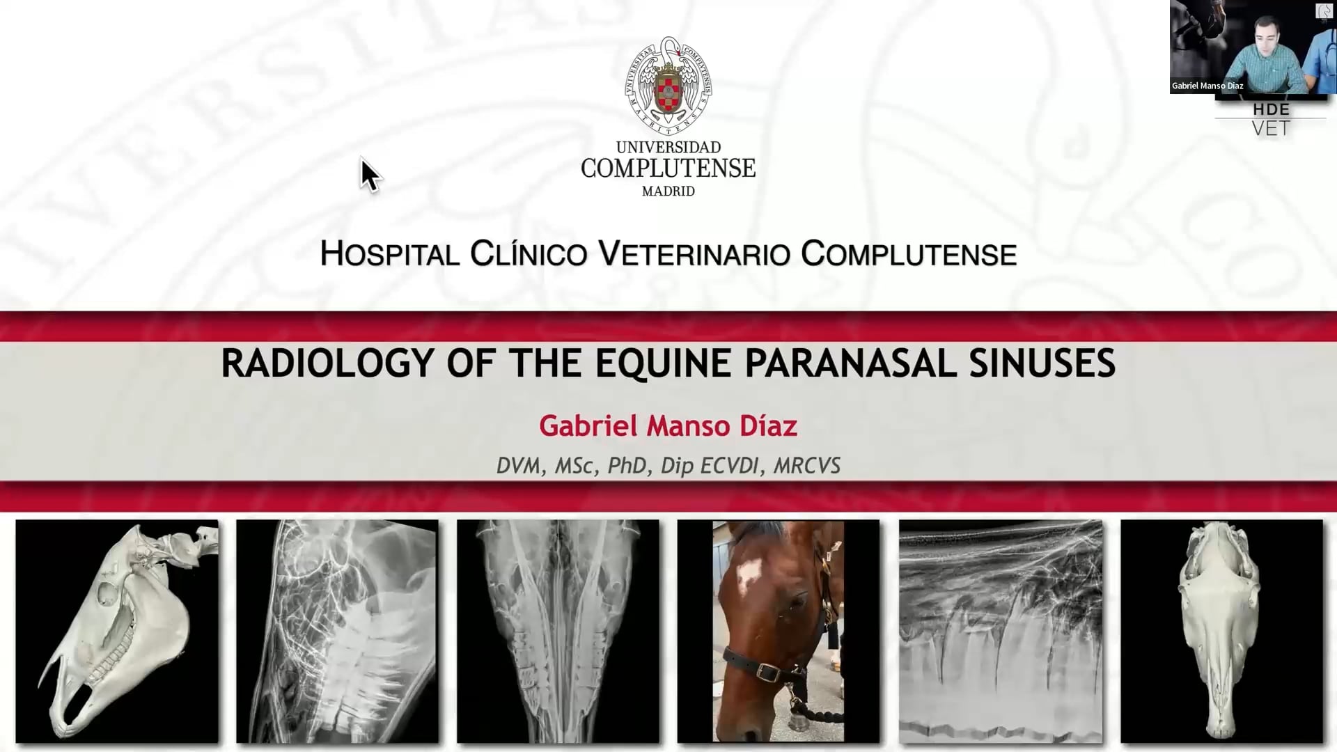 Watch Webinar HDE Vet - Radiology of the Equine Paranasal Sinuses, What ...
