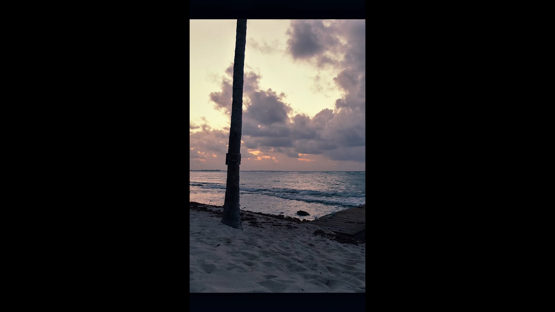 Ananda Wellness Flow