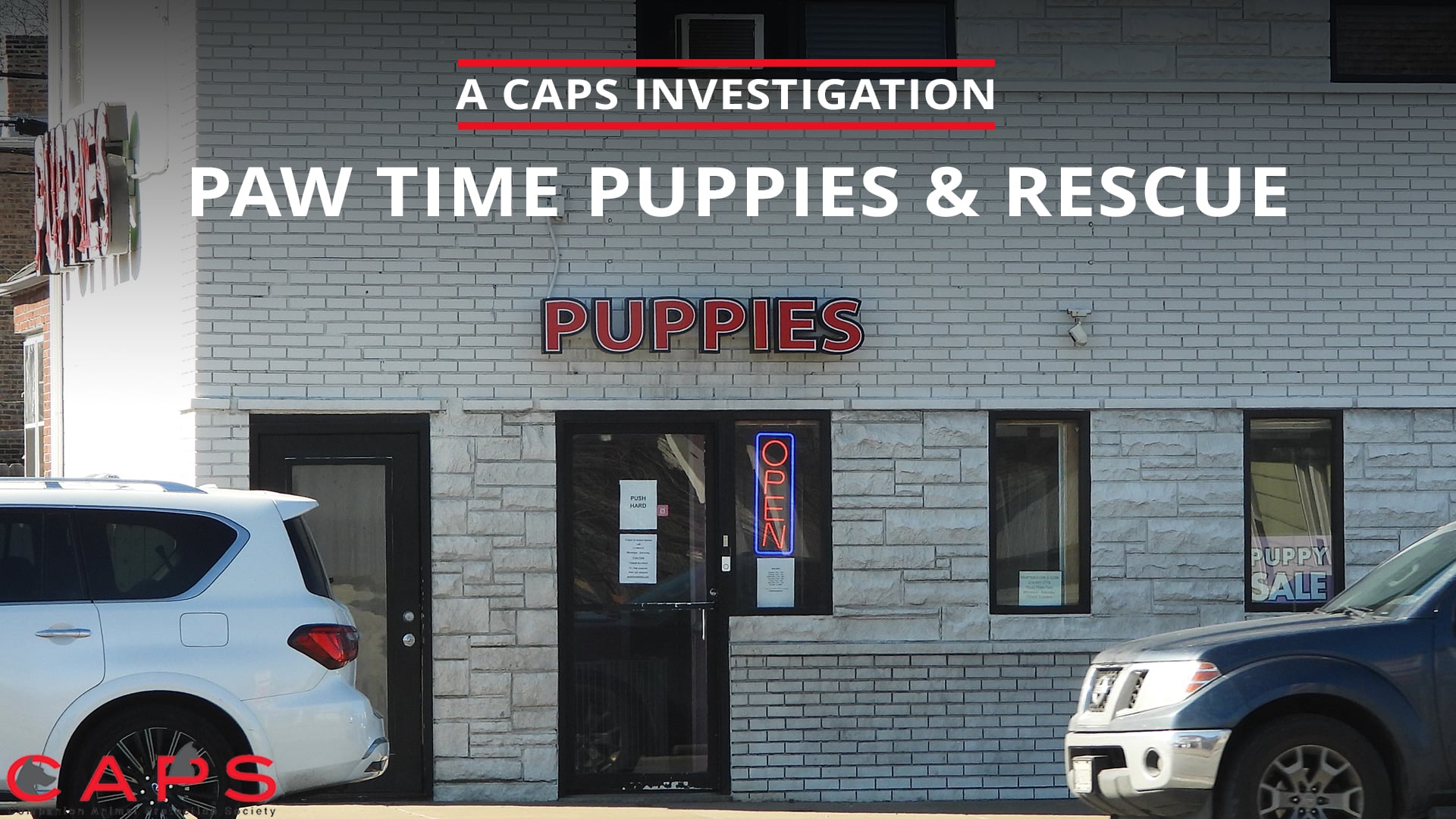 Paw Time Puppies & Rescues
