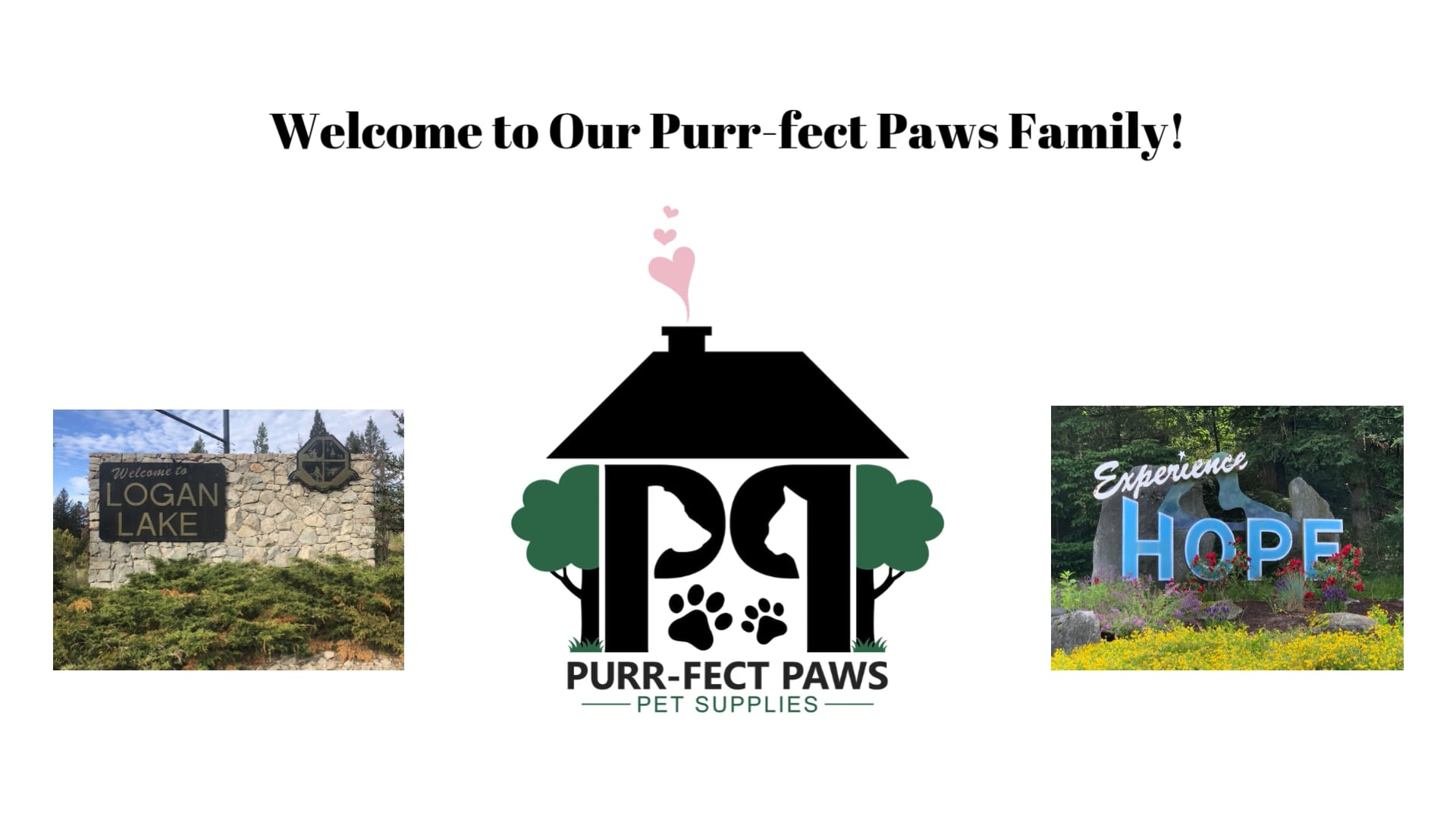 Purr-fect Paws: Your Go-To Pet Supplies Store